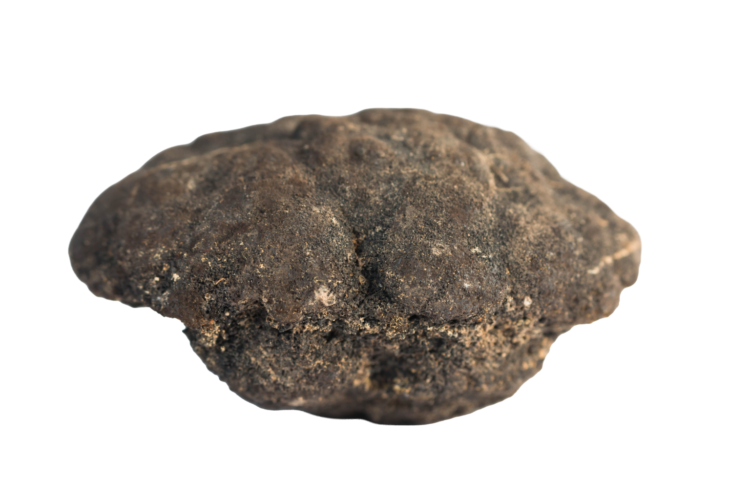 Critical Minerals for A Sustainable Tomorrow - Deep Sea Minerals Corp.